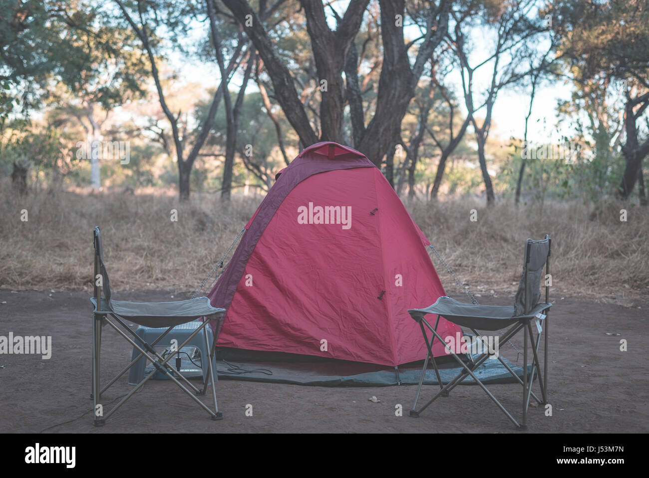 Camping in wild african forest. Adventure in National Park, Africa ...