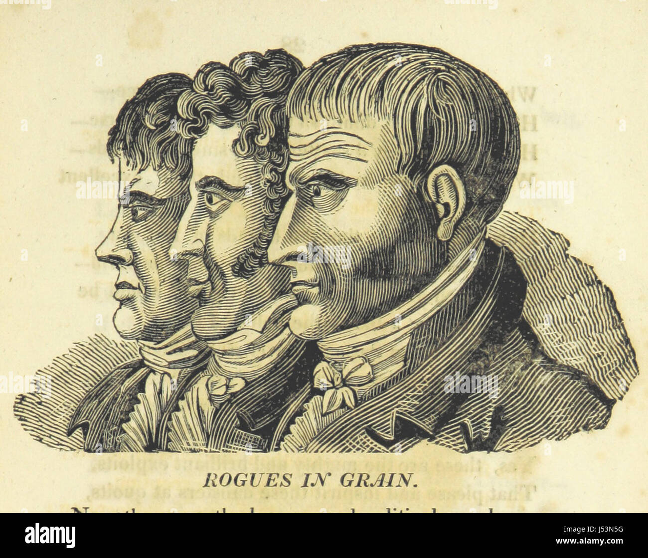 Thomas wooler hi-res stock photography and images - Alamy