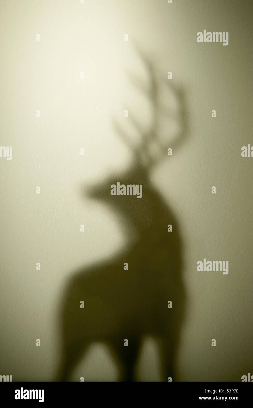 Antler drawing hi-res stock photography and images - Alamy