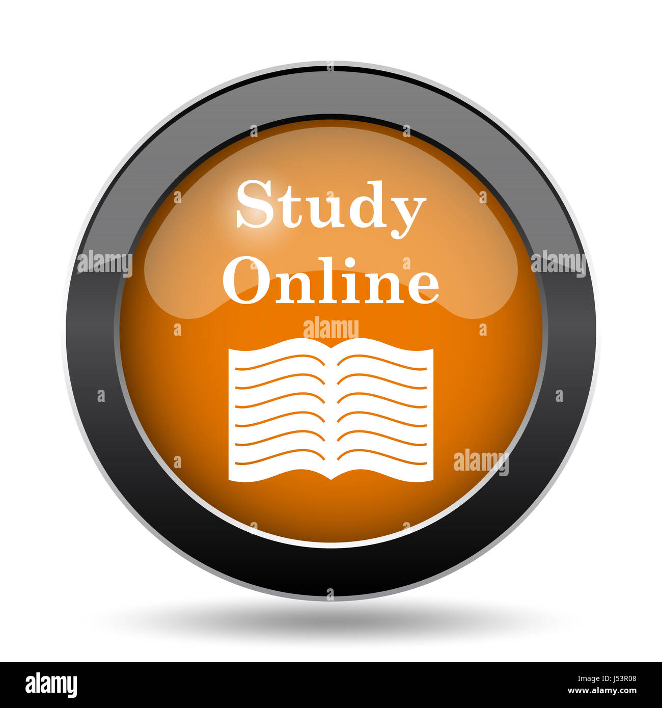 Study online icon. Study online website button on white background ...
