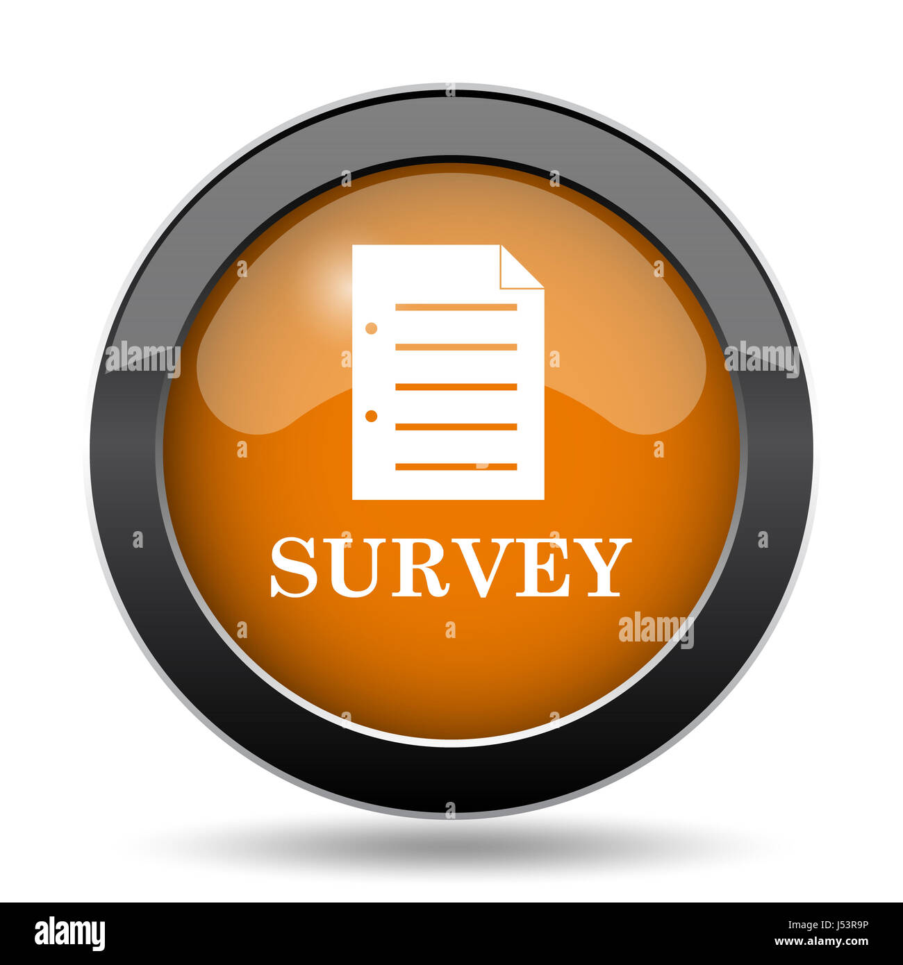 Survey icon. Survey website button on white background Stock Photo - Alamy