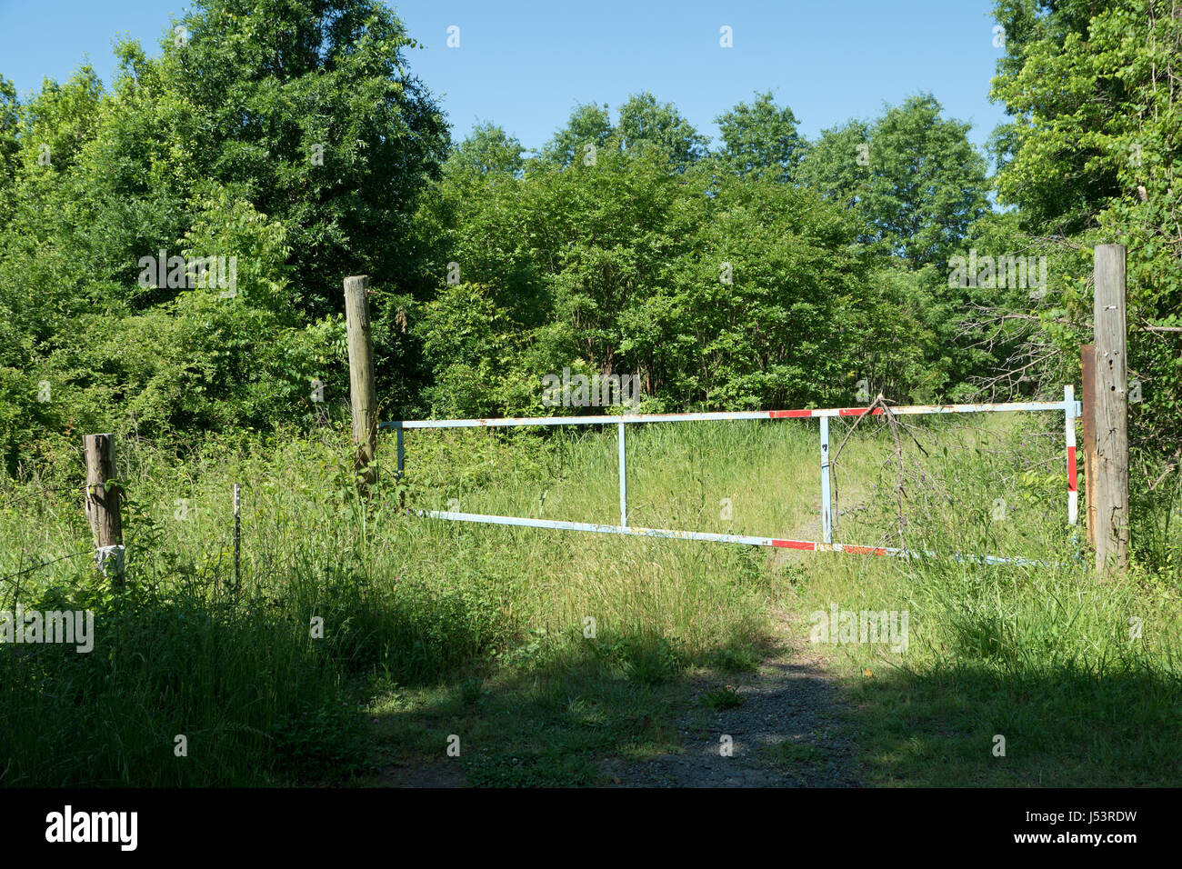 Gate blocking overgrown path into woods Stock Photo - Alamy