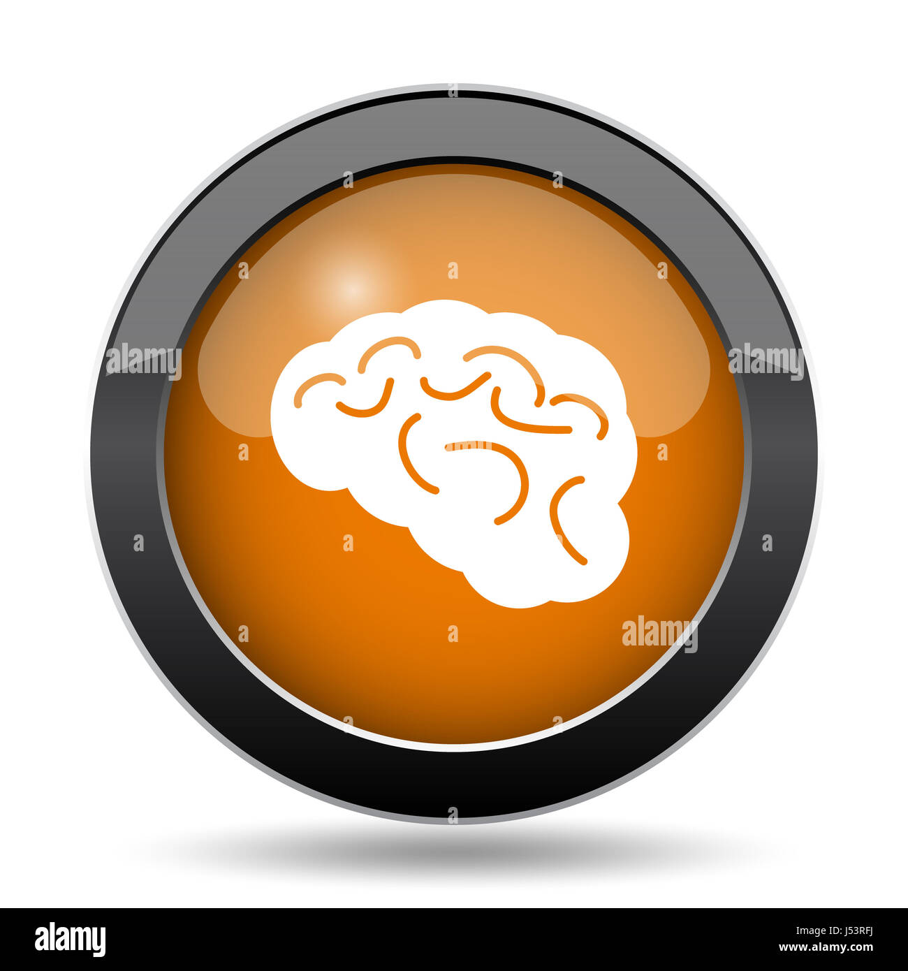 Brain icon. Brain website button on white background Stock Photo - Alamy