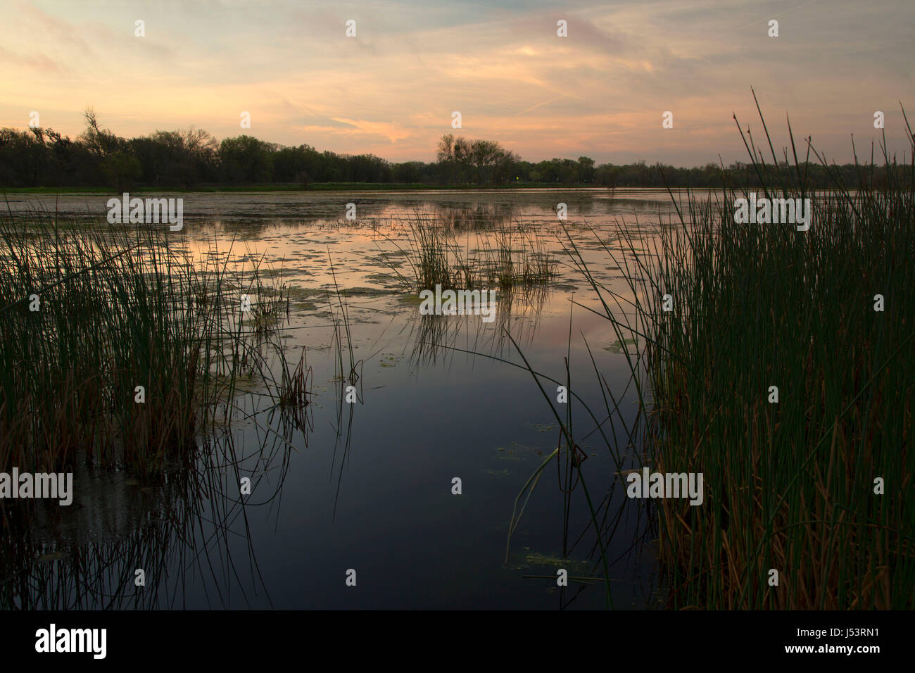 Marsh dawn along Boardwalk Trail, Cosumnes River Preserve, California ...