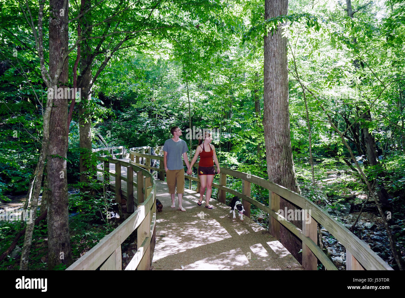 Arkansas Ozark Mountains,Blanchard Springs Recreation Area,man men male ...
