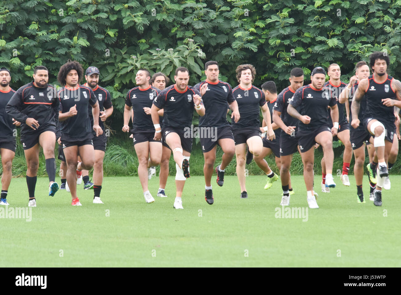 Auckland warriors hi-res stock photography and images - Alamy