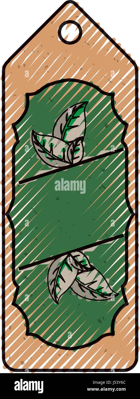 tag eco green Stock Vector Image & Art - Alamy