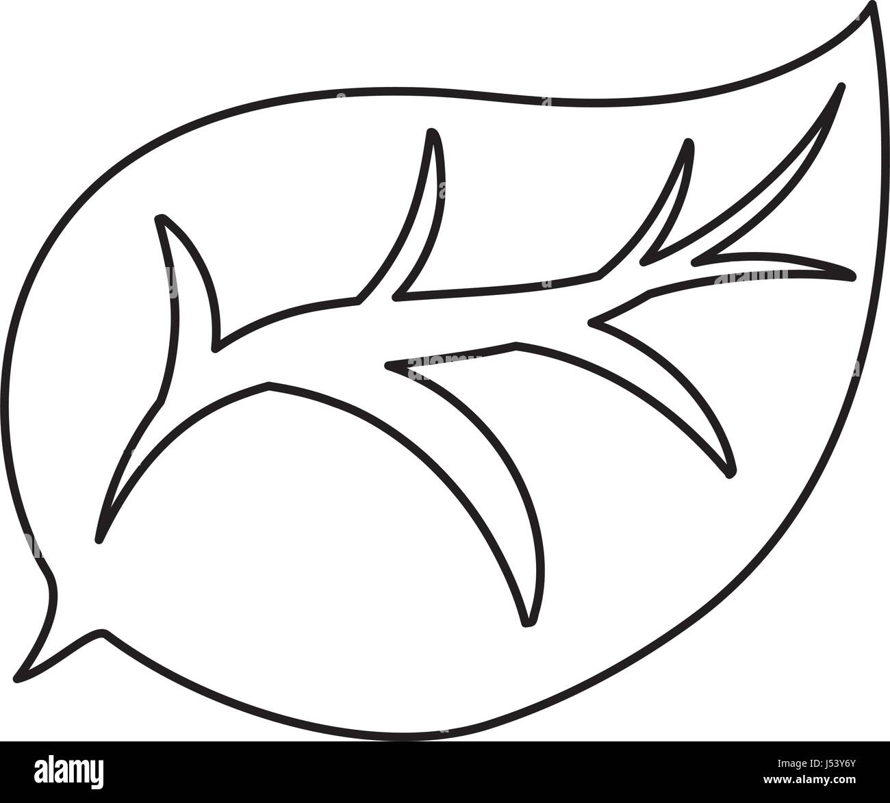 leaf nature draw Stock Vector Image & Art - Alamy