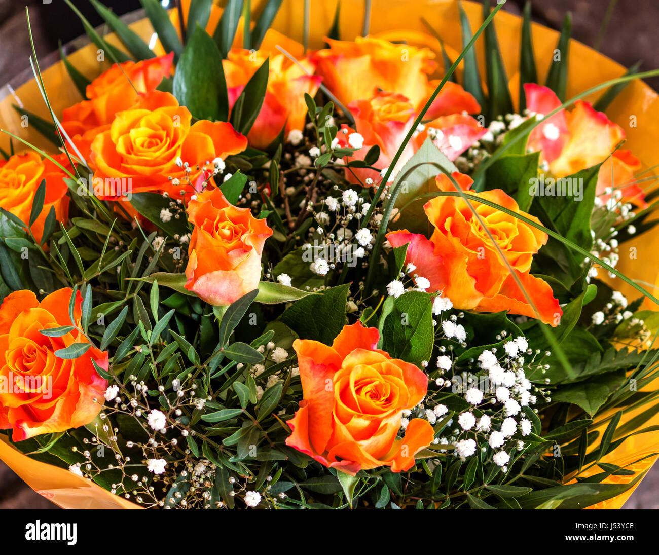 Golden roses hi-res stock photography and images - Alamy