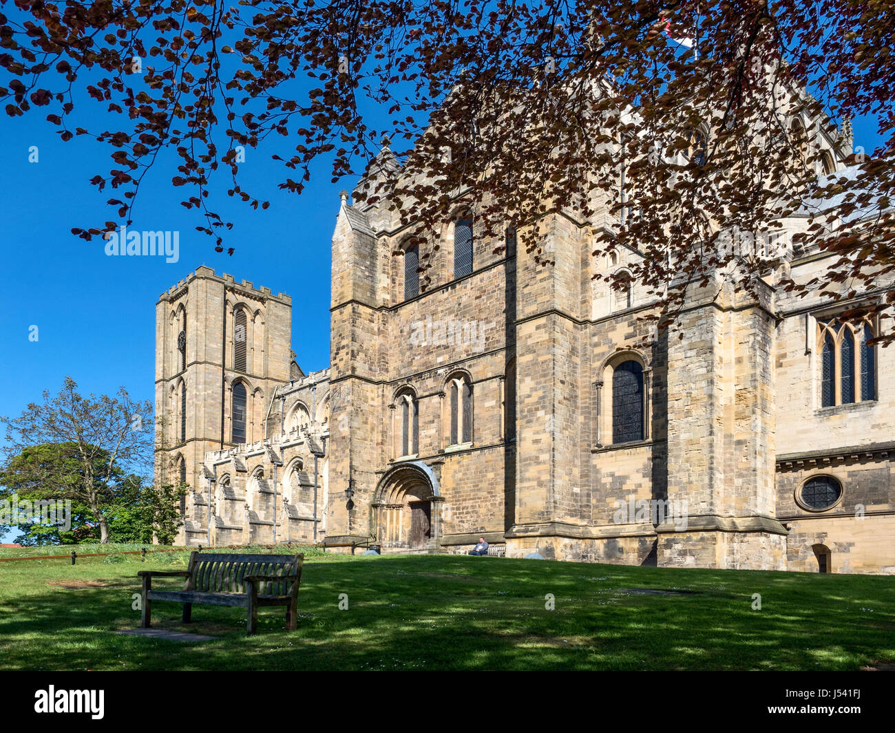 Ripon Cathedral in Spring Ripon North Yorkshire England Stock Photo - Alamy