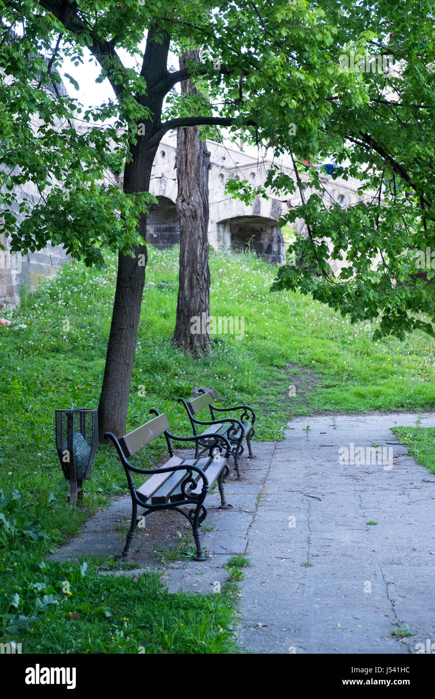 Branches in park Stock Photo - Alamy