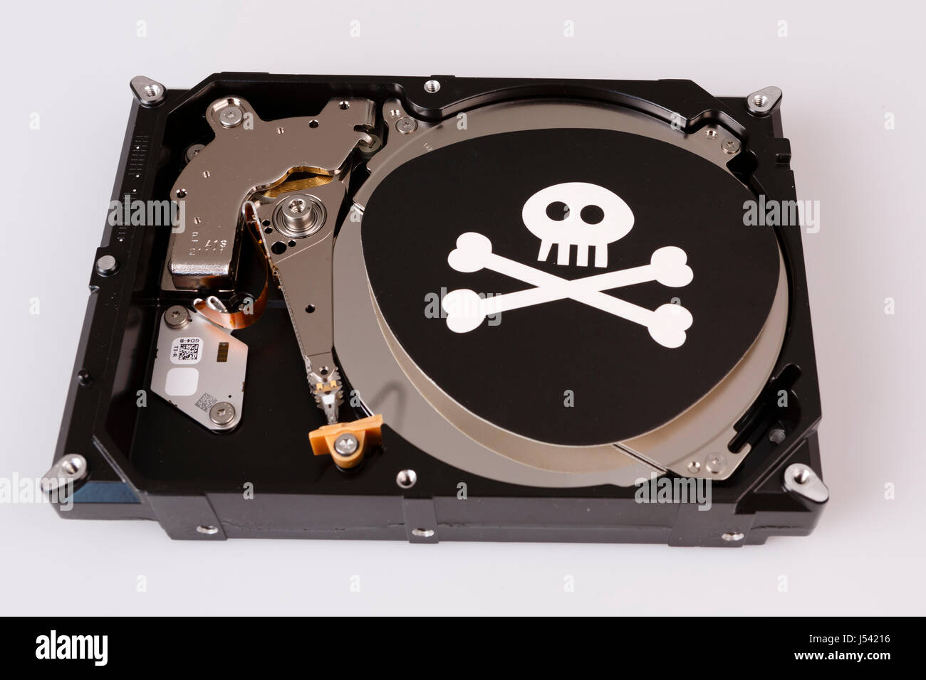 skull with bones and hard drive from computer, cyber security concept ...