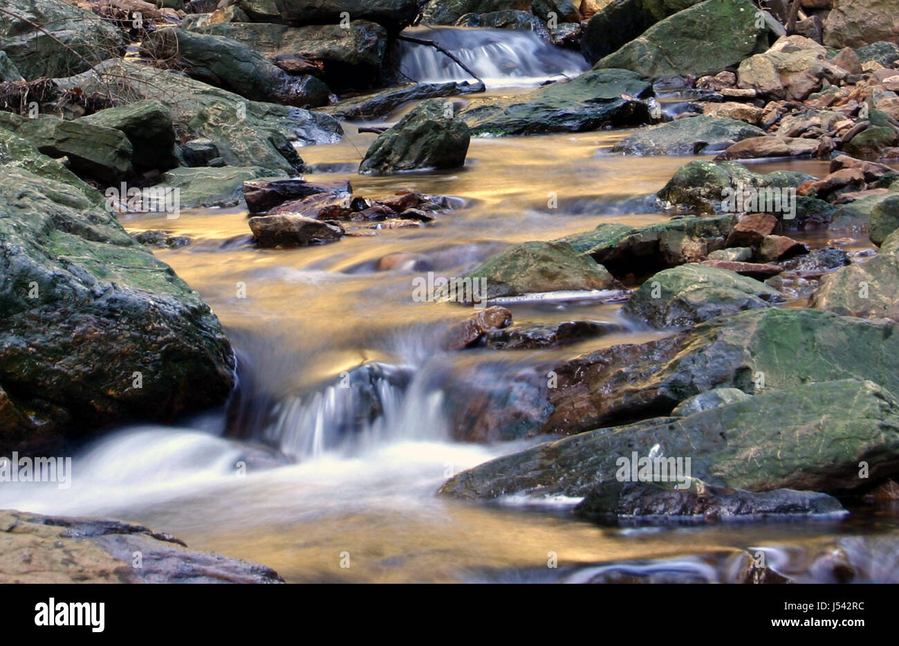 magic of nature Stock Photo - Alamy