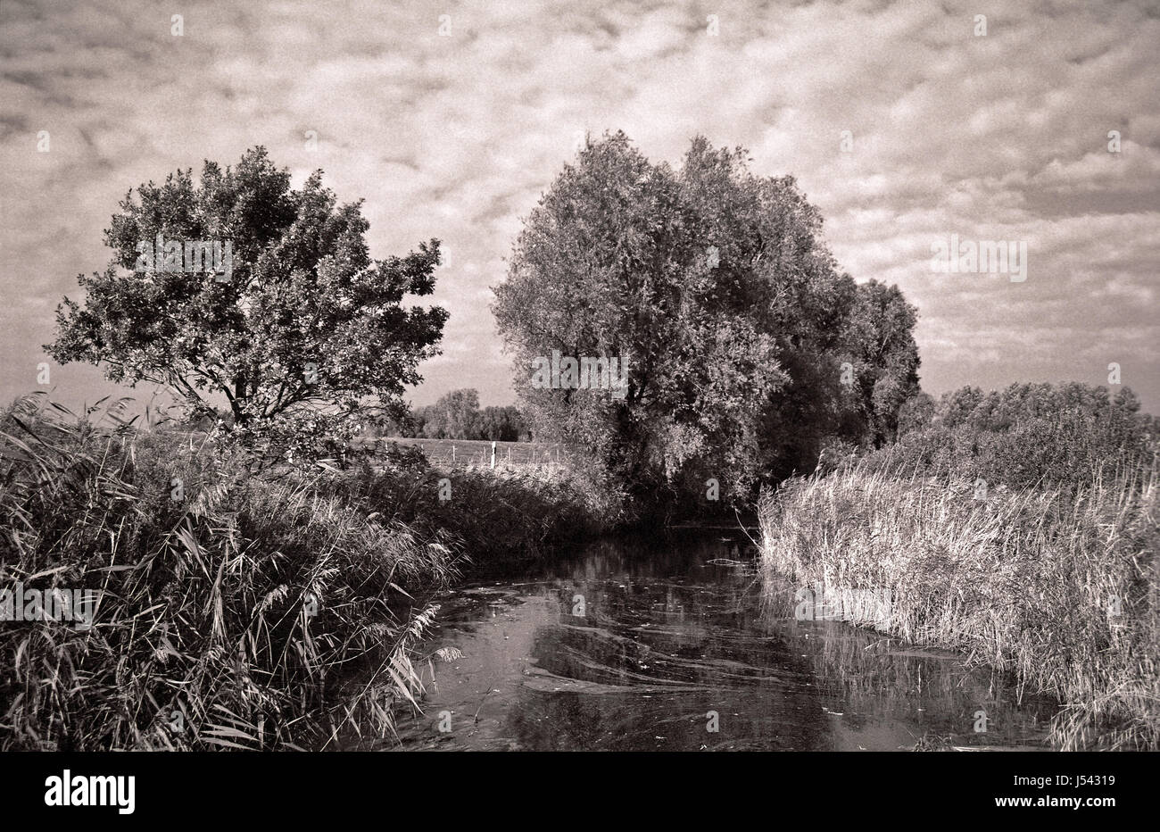 rgen landscape ii Stock Photo - Alamy