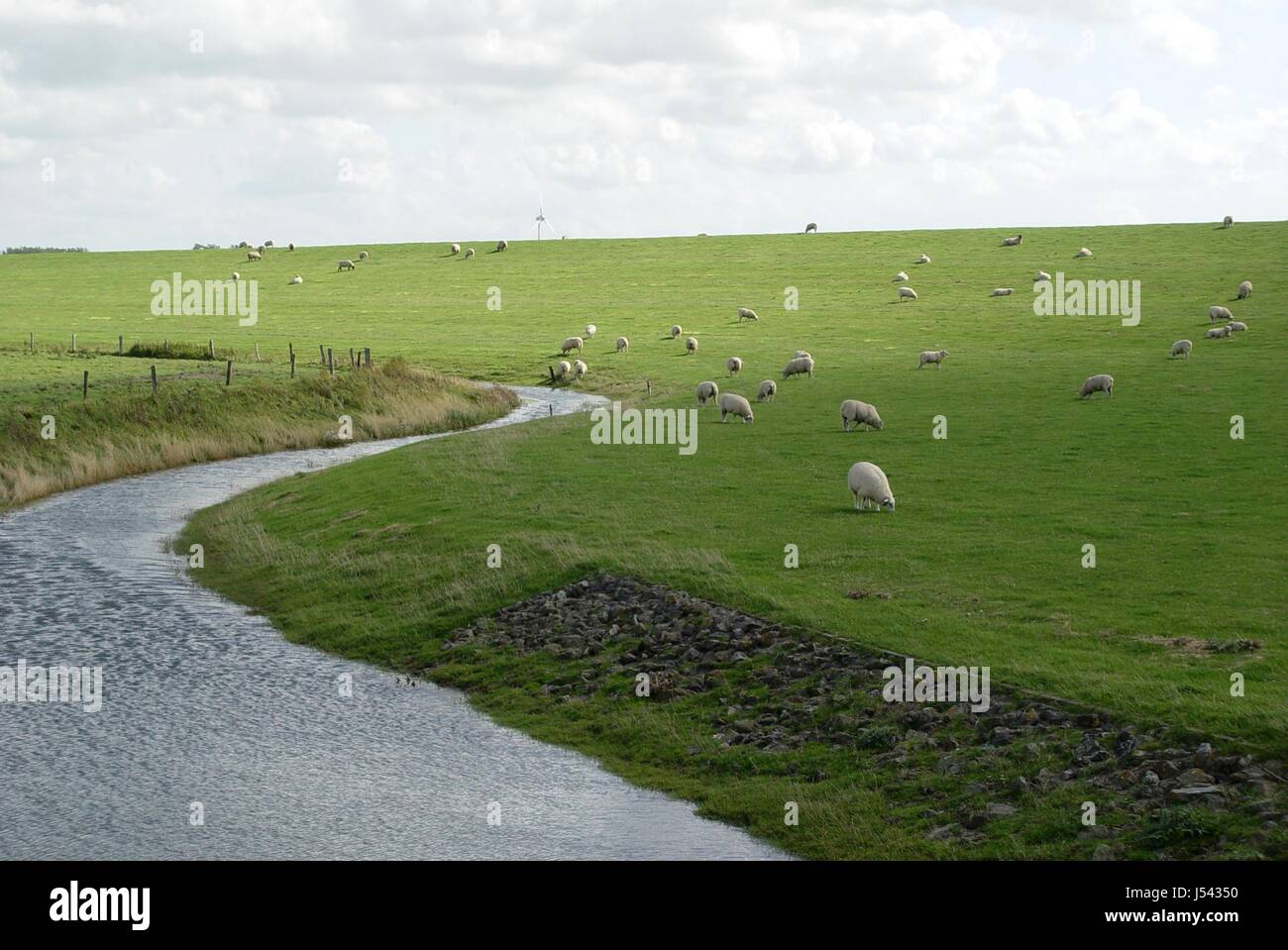 waters green field stream fields meadows acre browse streamlet meadow ...