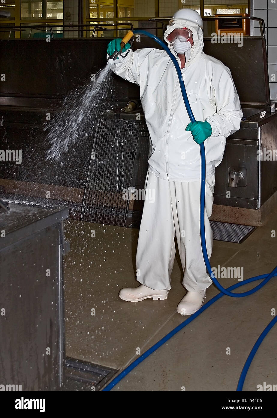 lathering the large kitchen Stock Photo - Alamy