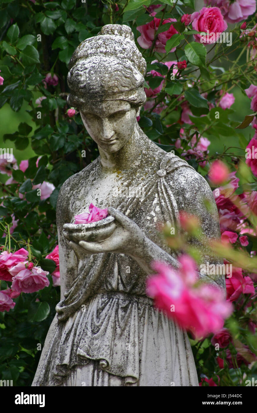 statue in the rose garden Stock Photo - Alamy
