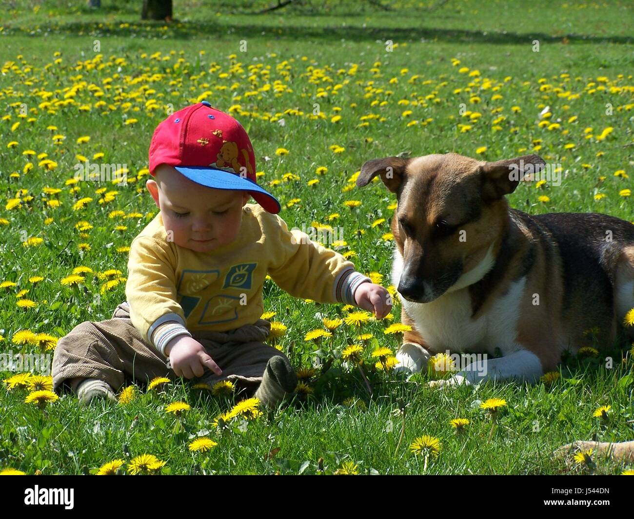have a look Stock Photo - Alamy