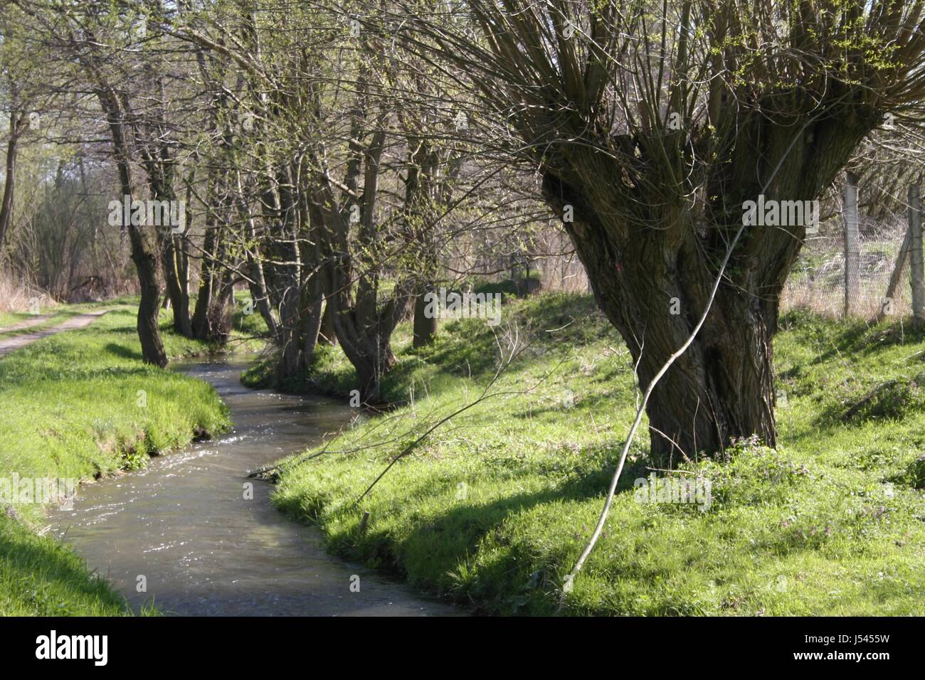 Brooklet hi-res stock photography and images - Alamy