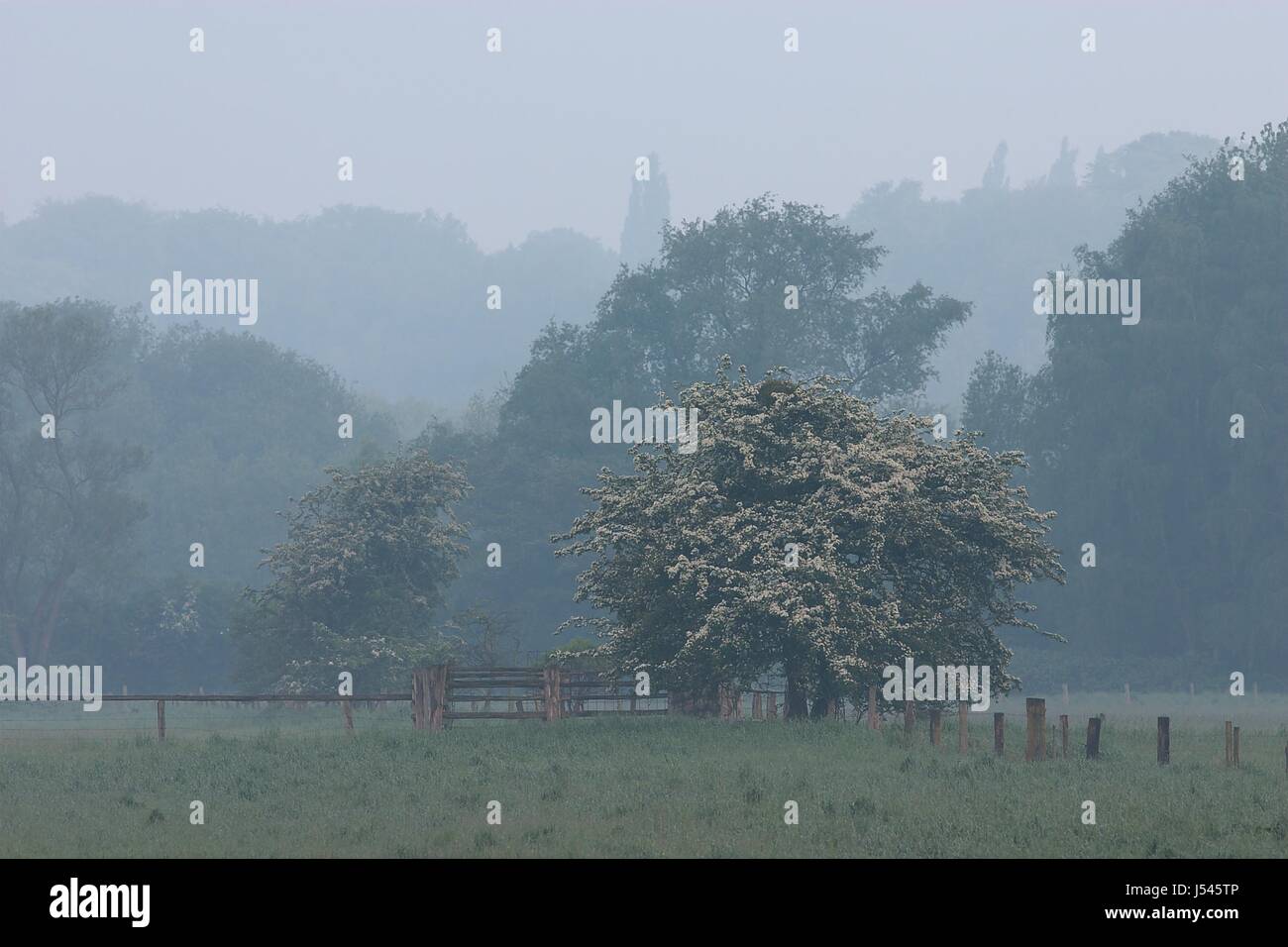 early morning mist 2 Stock Photo - Alamy