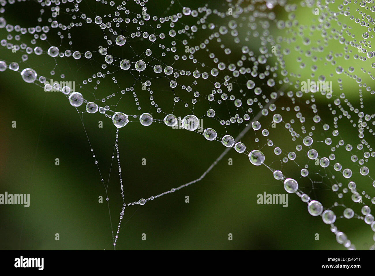 strung together Stock Photo - Alamy