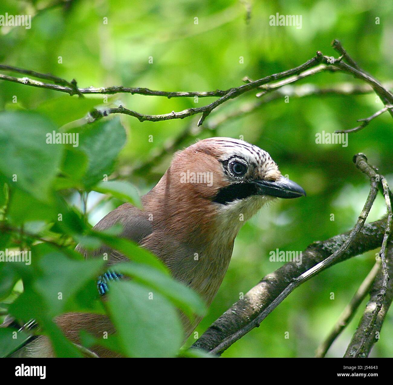 Look past hi-res stock photography and images - Alamy