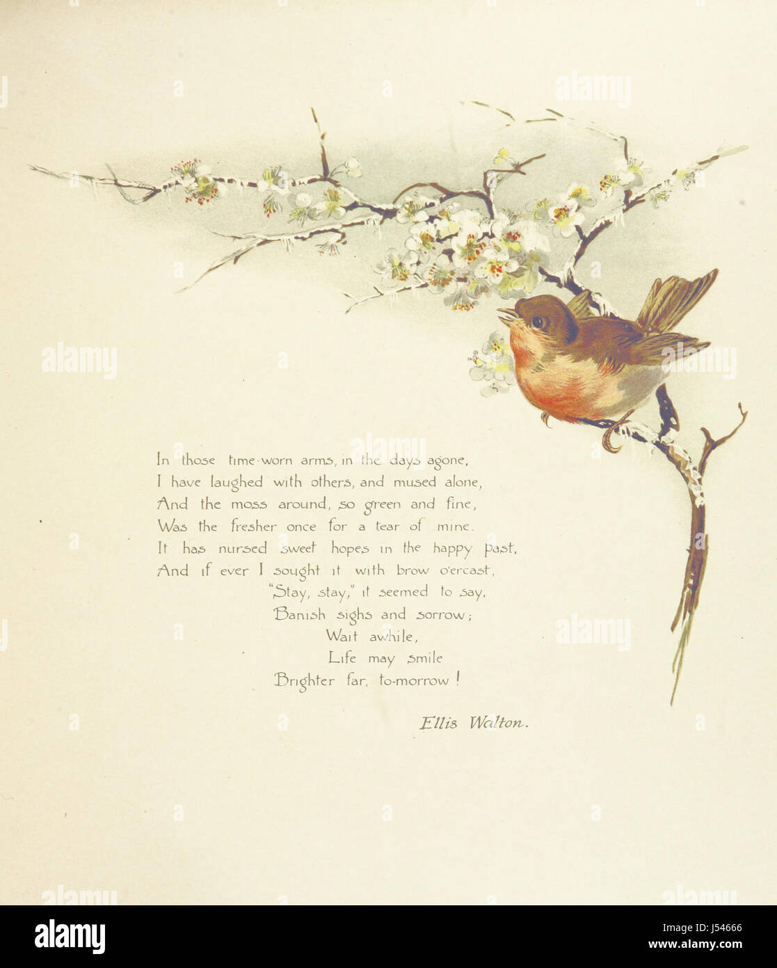 *Through Woodland and Meadow and Other Poems* is a collection of poems ...