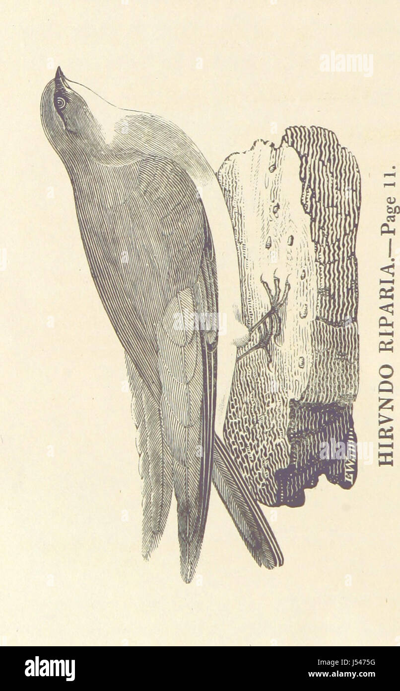 This work provides detailed observations on the natural history of the ...