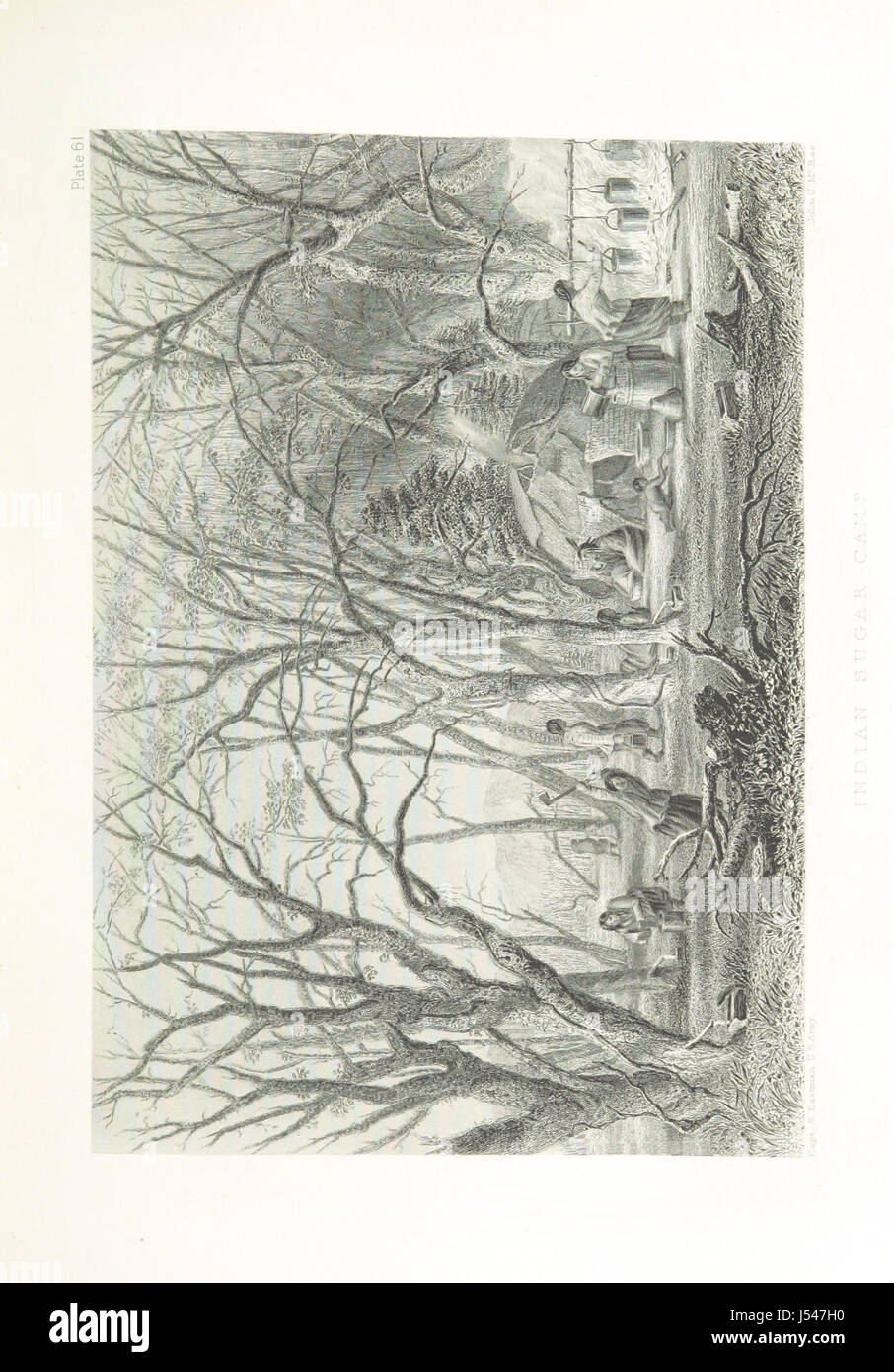 A book titled 'The Indian Tribes of the United States ... Illustrated ...