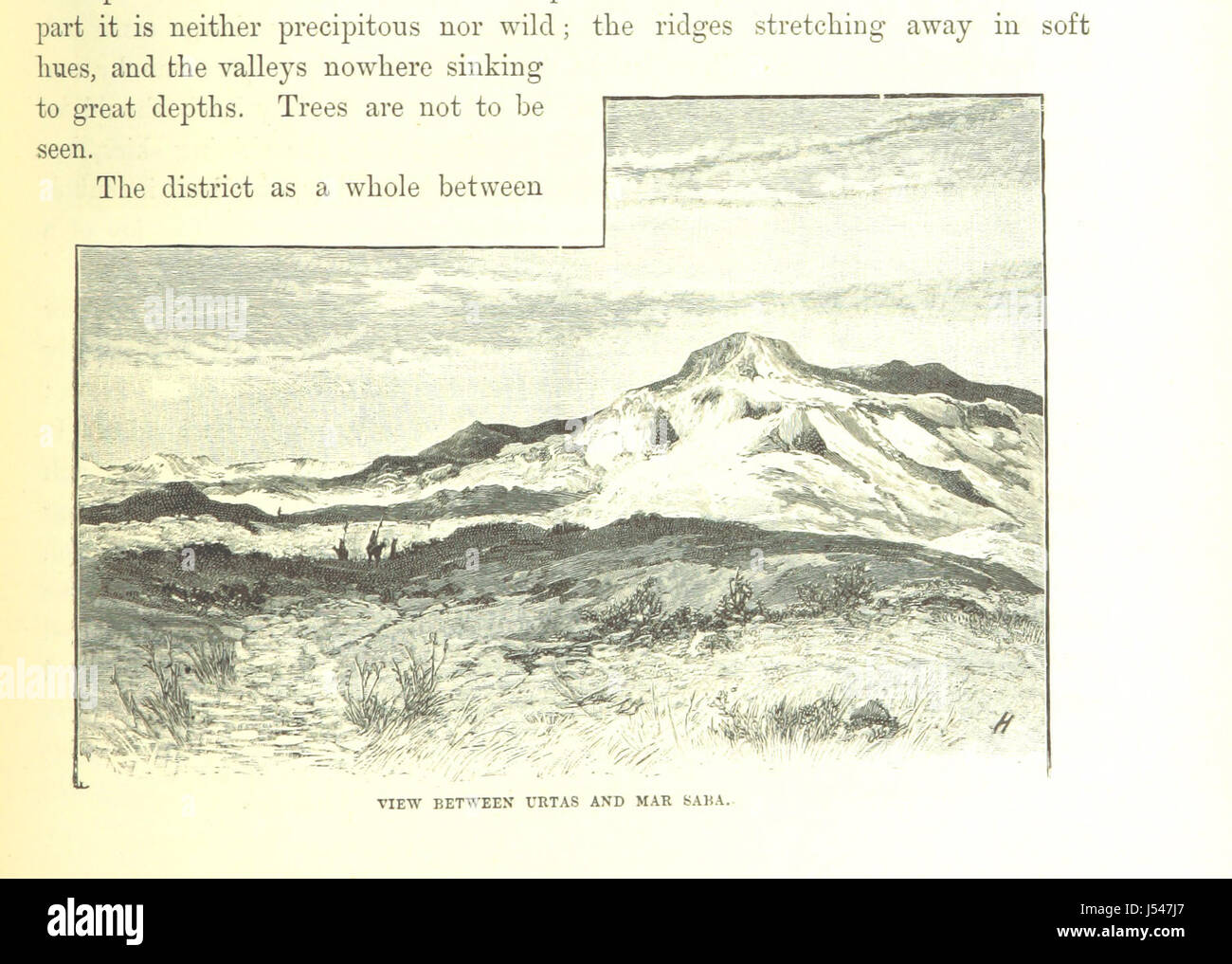 A collection of Scripture illustrations from Palestine, showcasing the ...