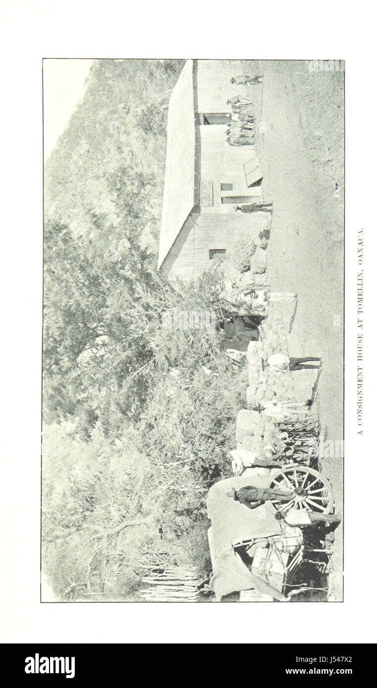 Book features in depth Cut Out Stock Images & Pictures - Alamy