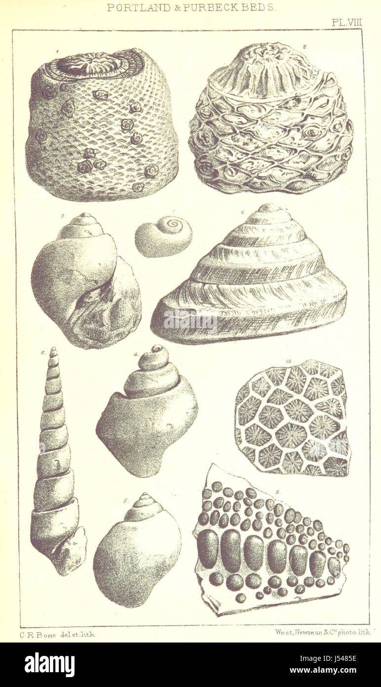 This supplement to the Geology of Weymouth and the Isle of Portland ...