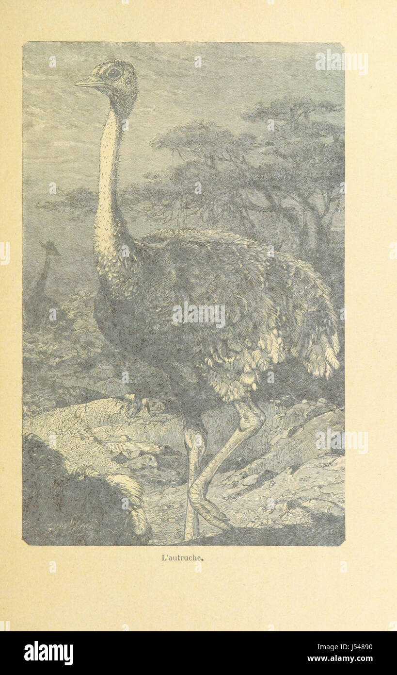 This work provides illustrations and documentation about the history ...