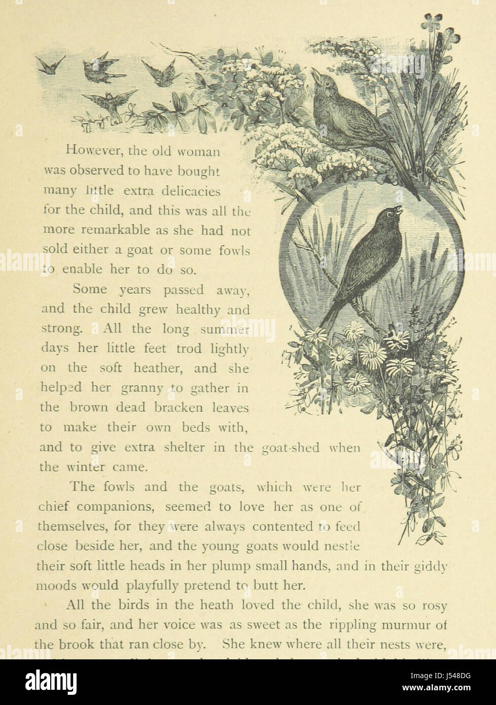 Allegories of the arts hi-res stock photography and images - Alamy