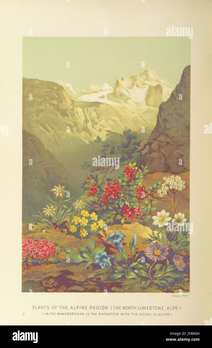 World climate zones map hi-res stock photography and images - Alamy