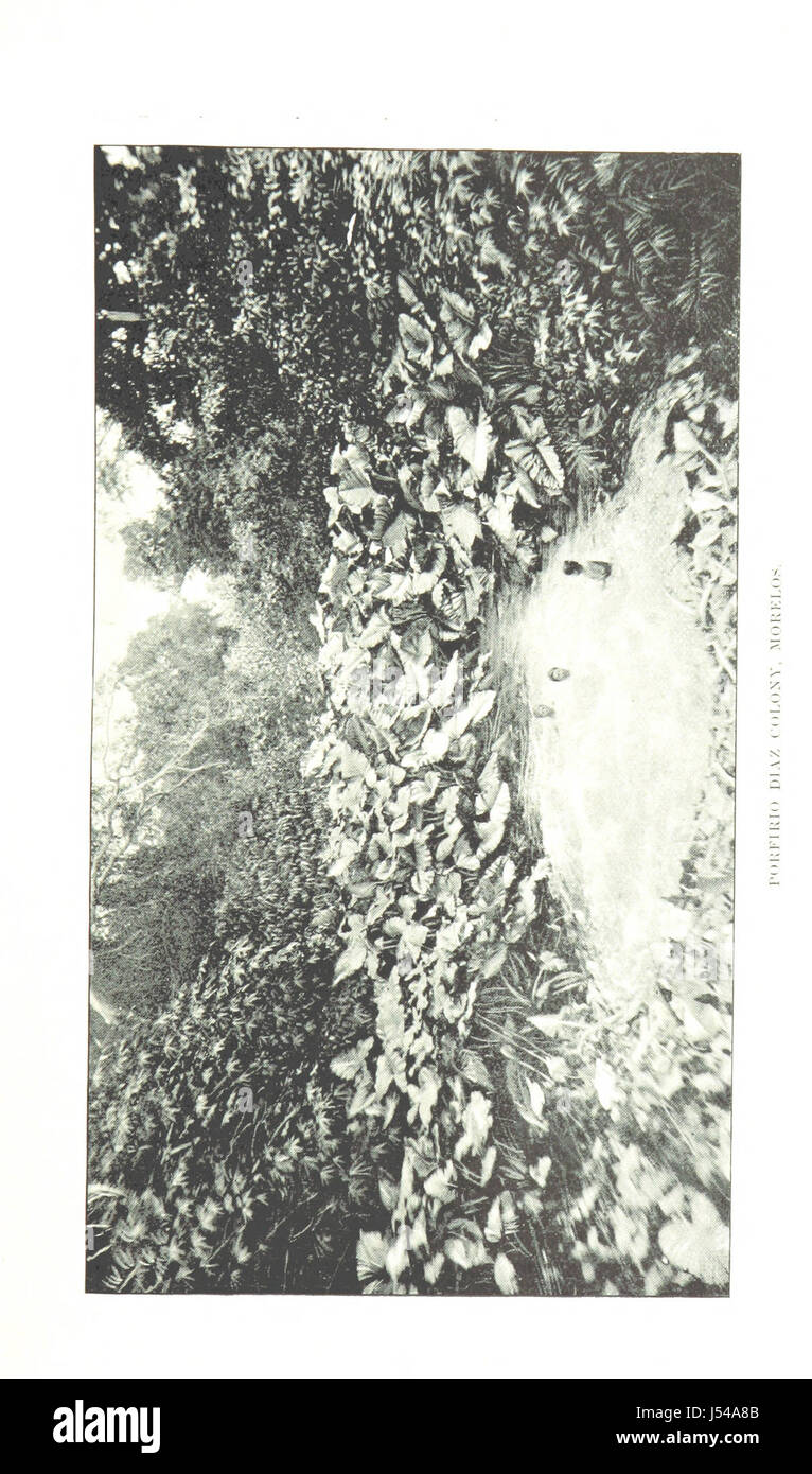 Agricultural and natural resources Cut Out Stock Images & Pictures - Alamy