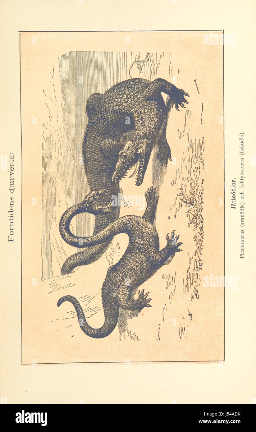 This Swedish work, 'Menniskan' (The Human Being), is the fifth edition ...