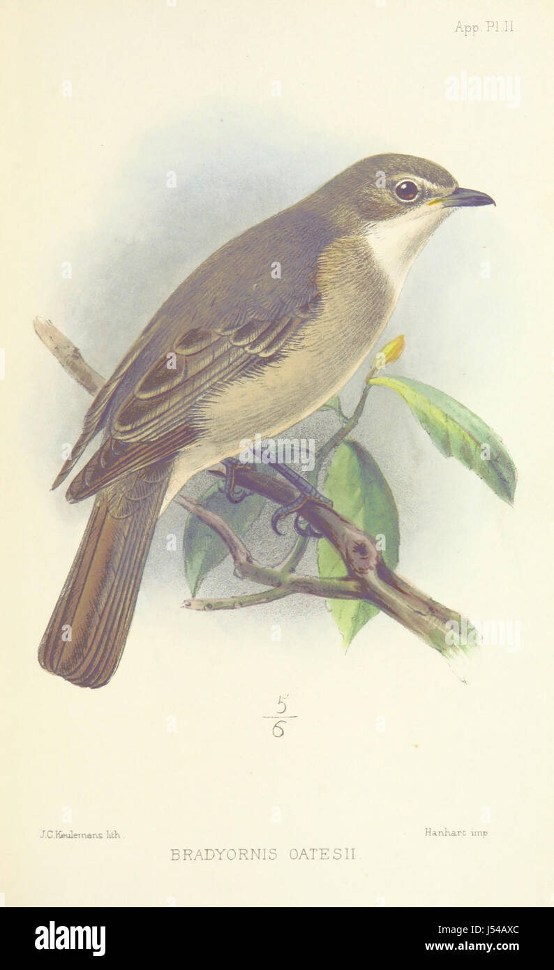 This image is from *Matabele Land and the Victoria Falls*, offering a ...