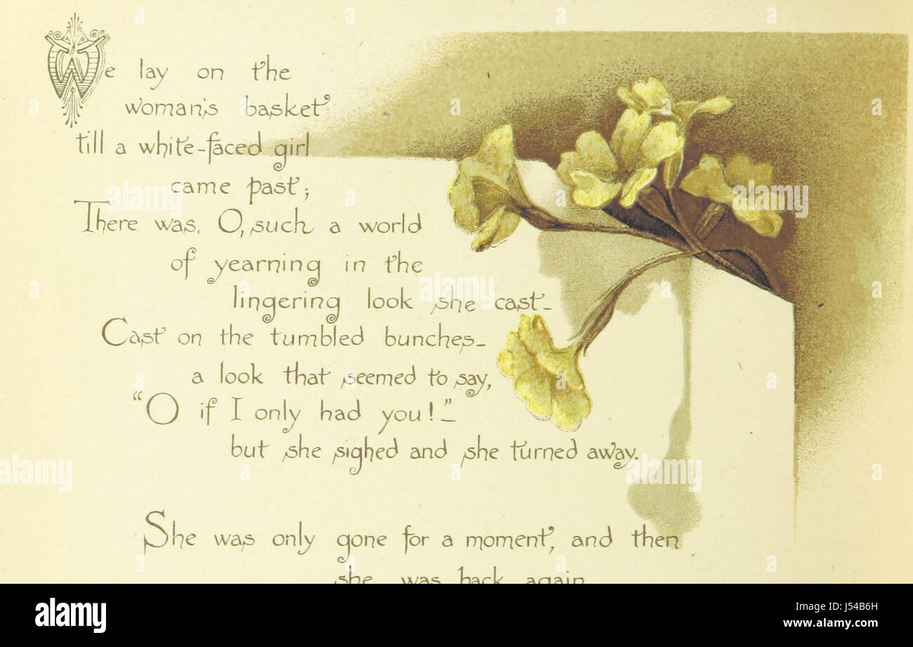 A Bunch of Primroses. [A poem.] ... Illustrated, etc Stock Photo - Alamy