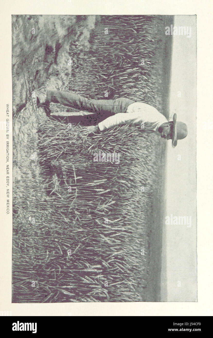 The Pecos Valley, the Fruit Belt of New Mexico. [Illustrated.] Stock ...