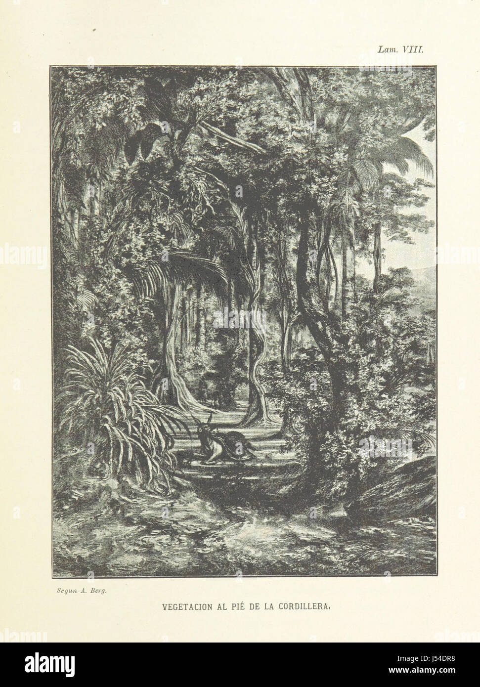 This image is taken from page 447 of 'GeografÃ­a y geologÃ­a del ...