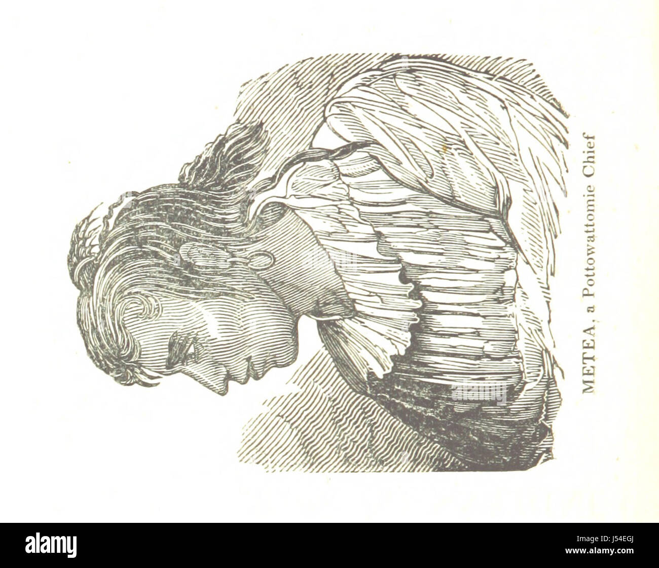 This book provides an in-depth biography and history of the Native ...