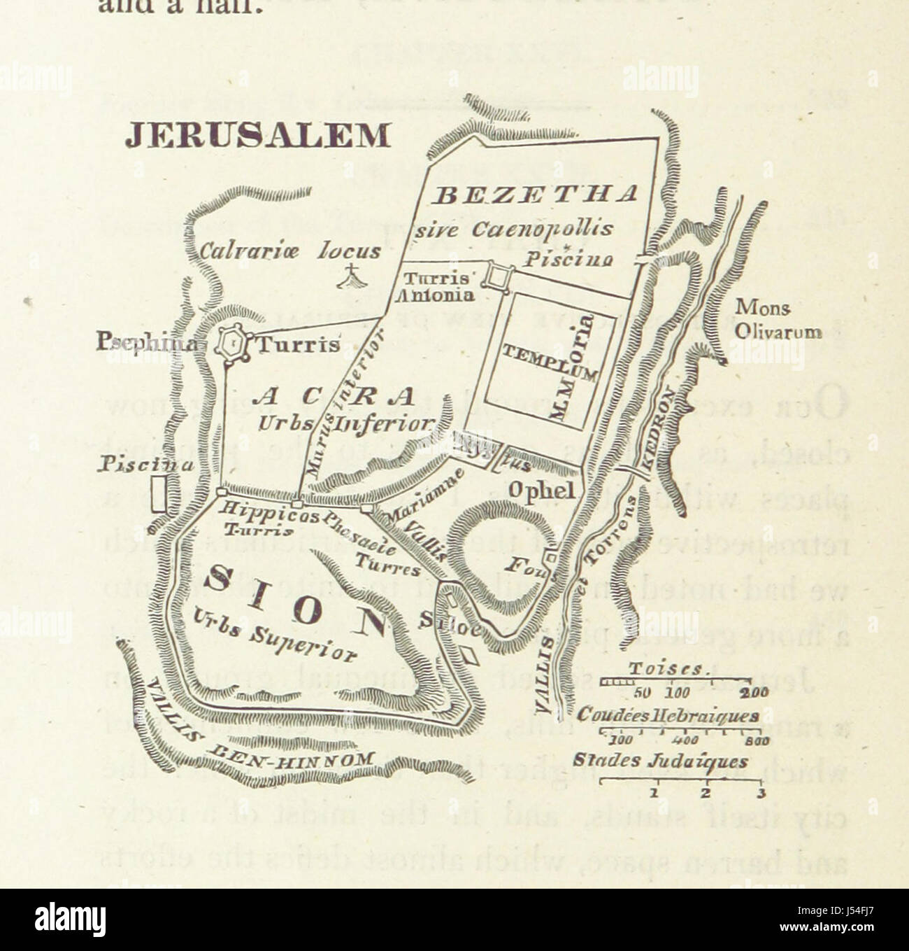 Bashan hi-res stock photography and images - Alamy