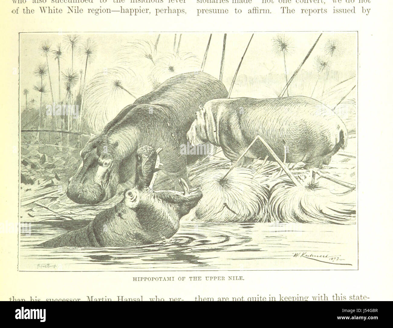 This work details the history of Africa and its explorers, providing ...