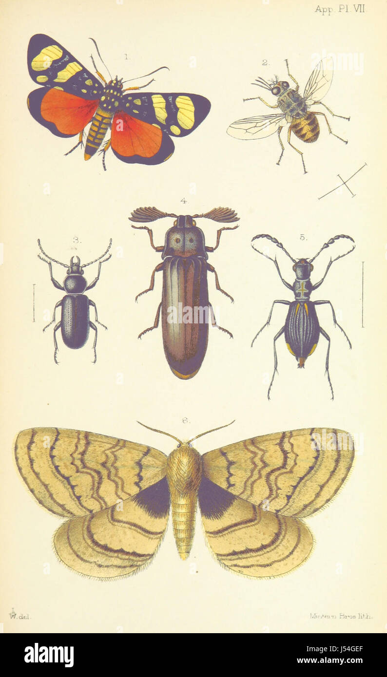 'Matabele Land and the Victoria Falls' is an exploration book edited by ...