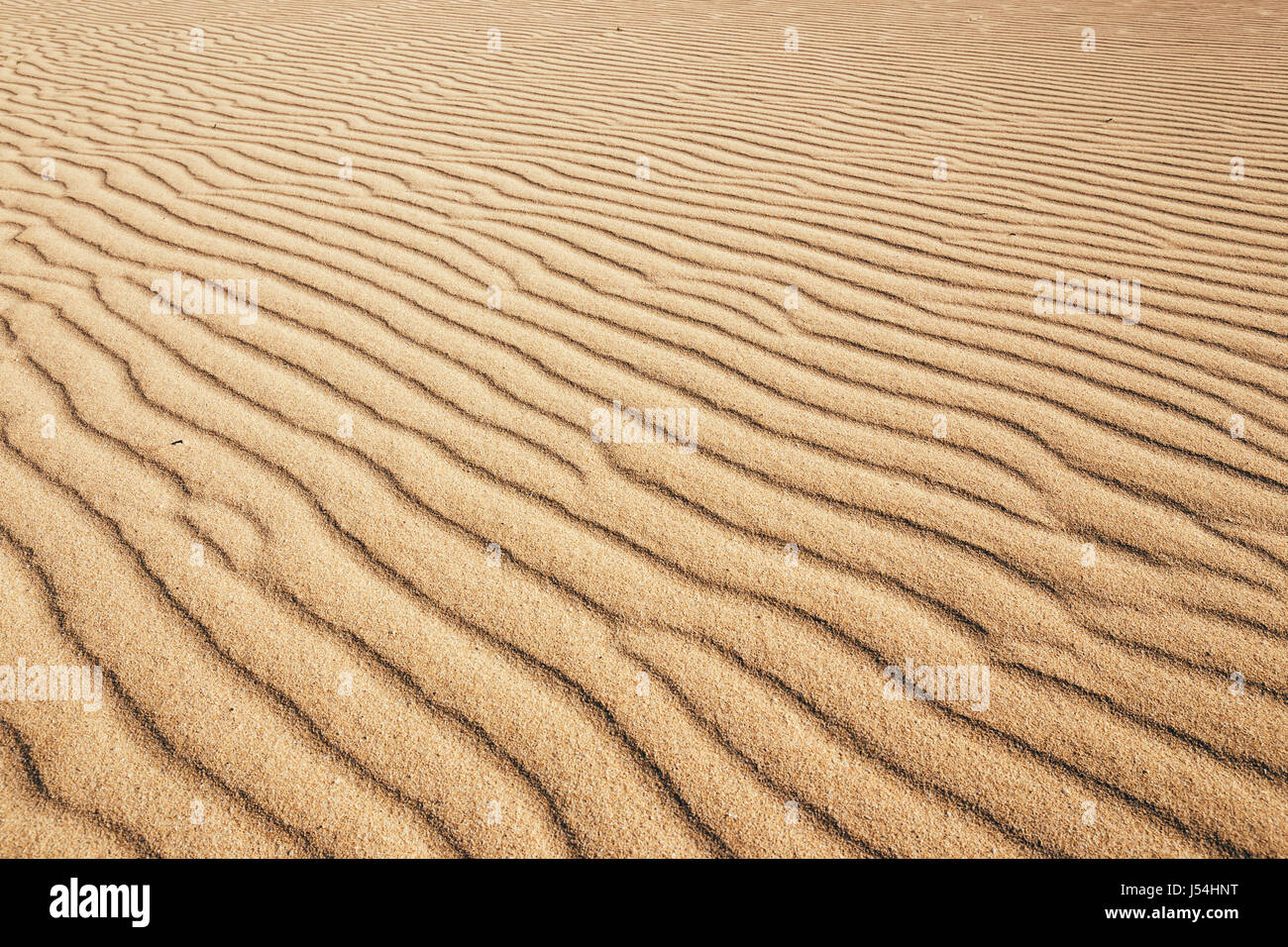 Lines in the sand of a beach, close up Stock Photo - Alamy