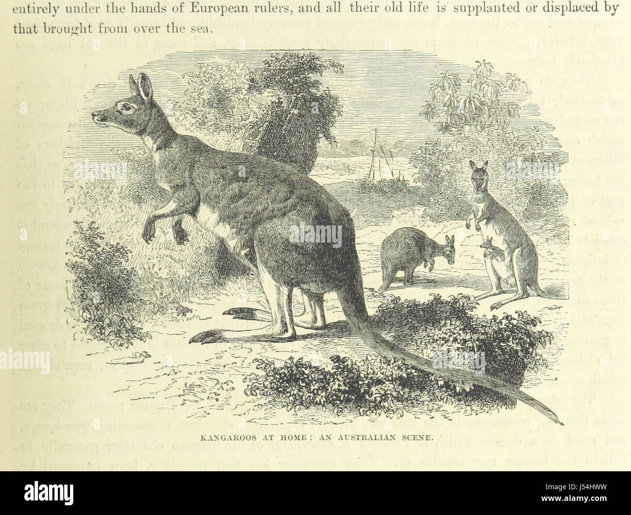 This article discusses the copies of the world map from the Borgia ...