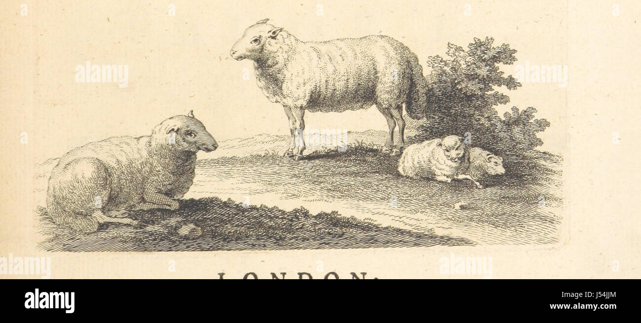 The Fleece, a Poem, in four books Stock Photo - Alamy