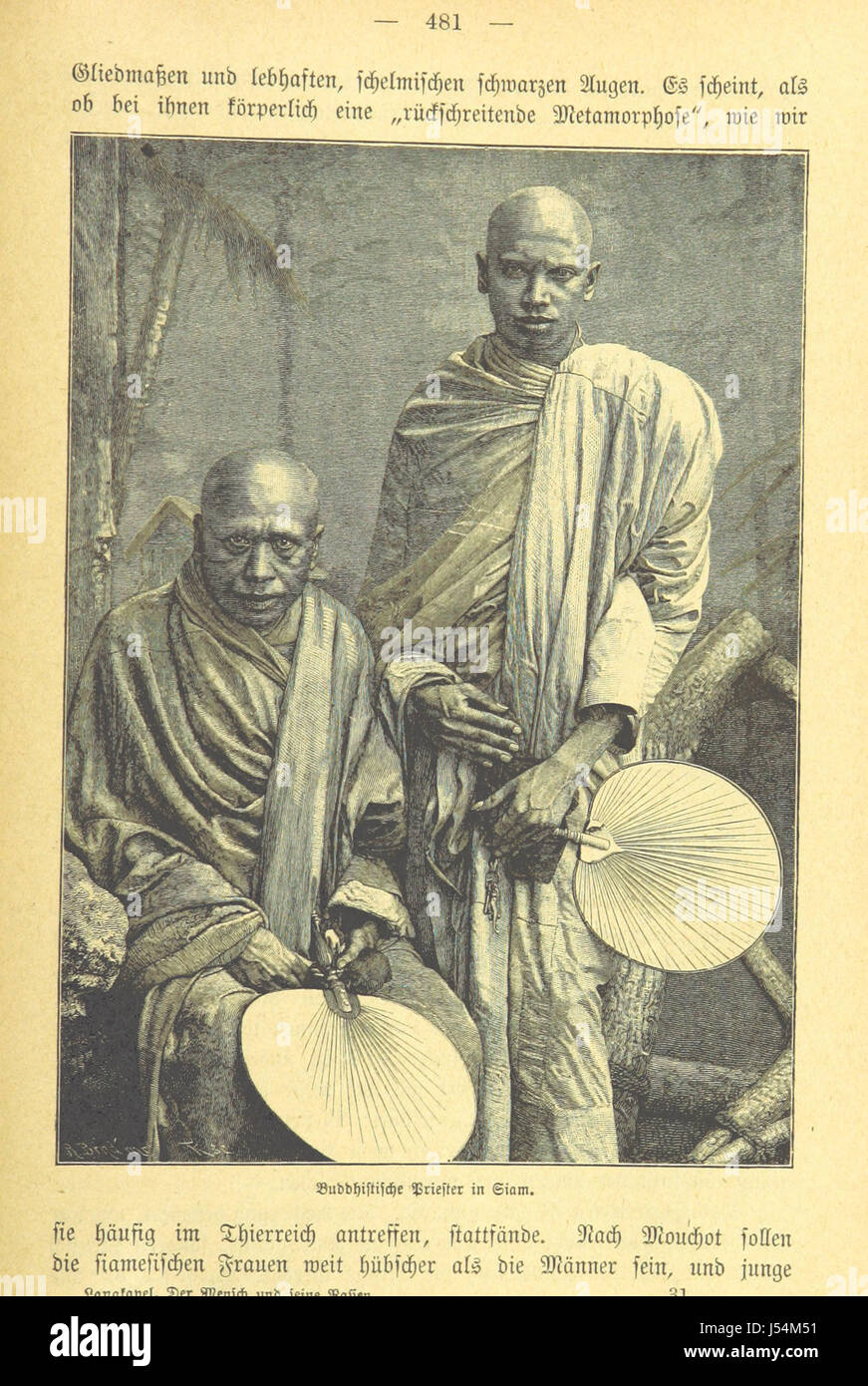 Der Mensch und seine Rassen. Mit ... Illustrationen Stock Photo - Alamy