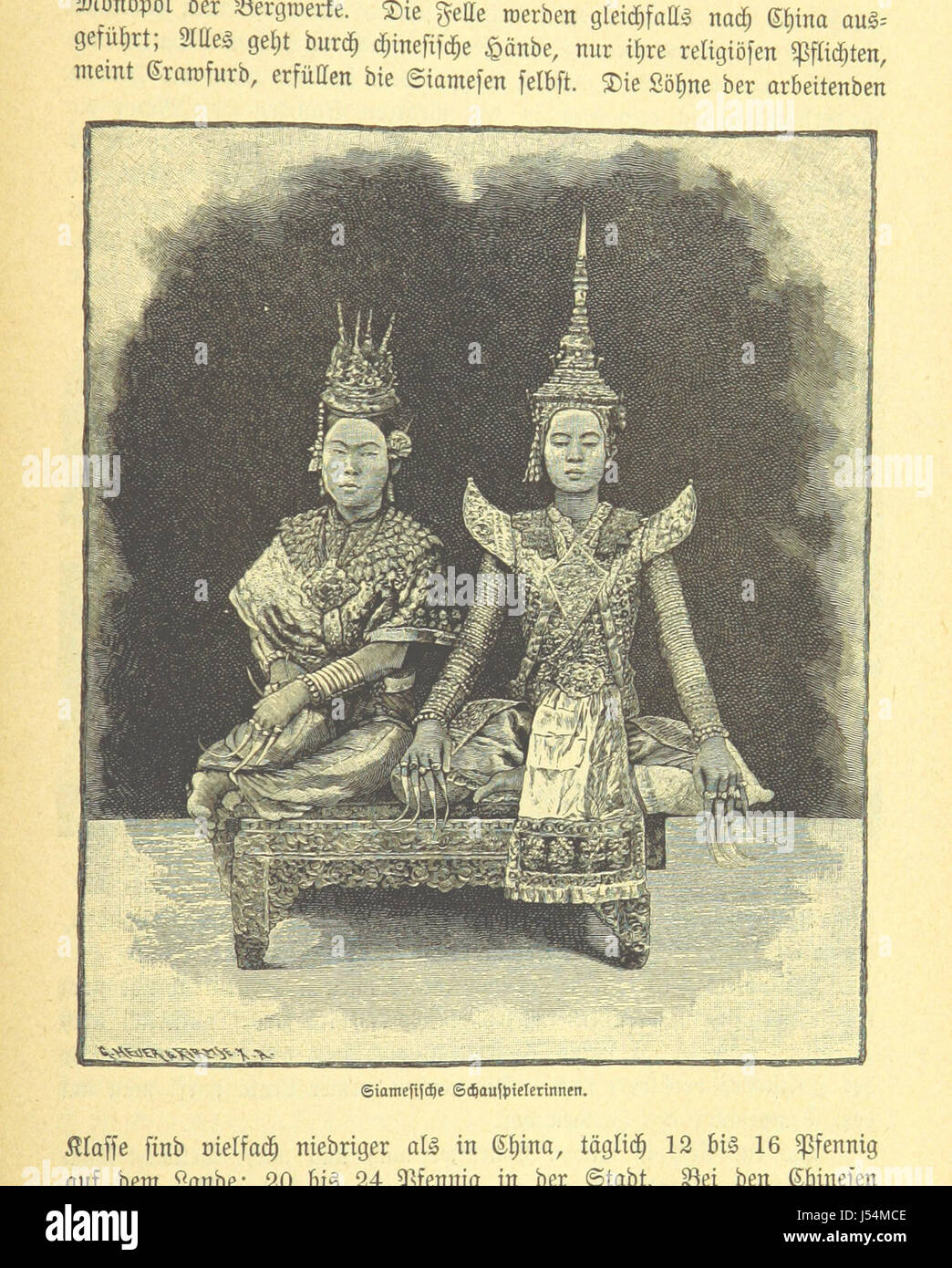 Der Mensch und seine Rassen. Mit ... Illustrationen Stock Photo - Alamy